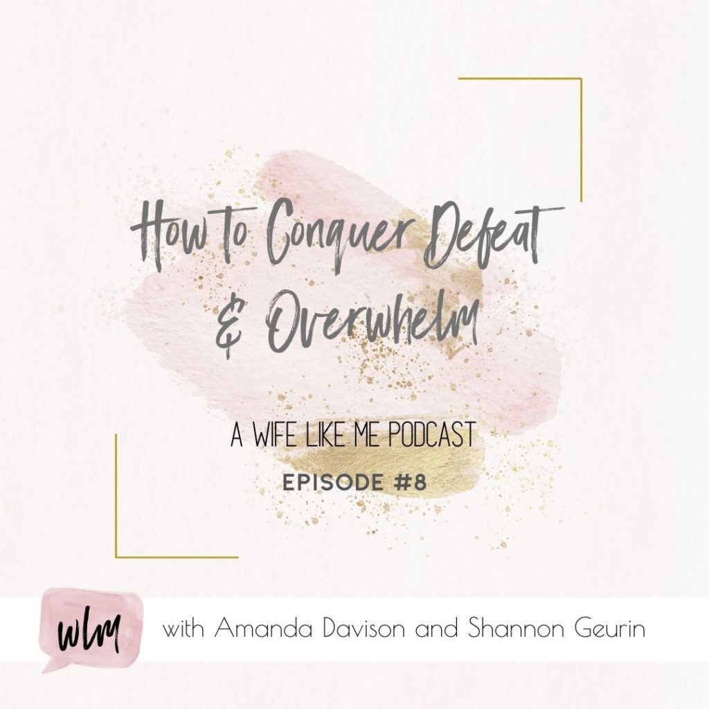 How to Conquer Defeat and Overwhelm - Episode 8 - A Wife Like Me