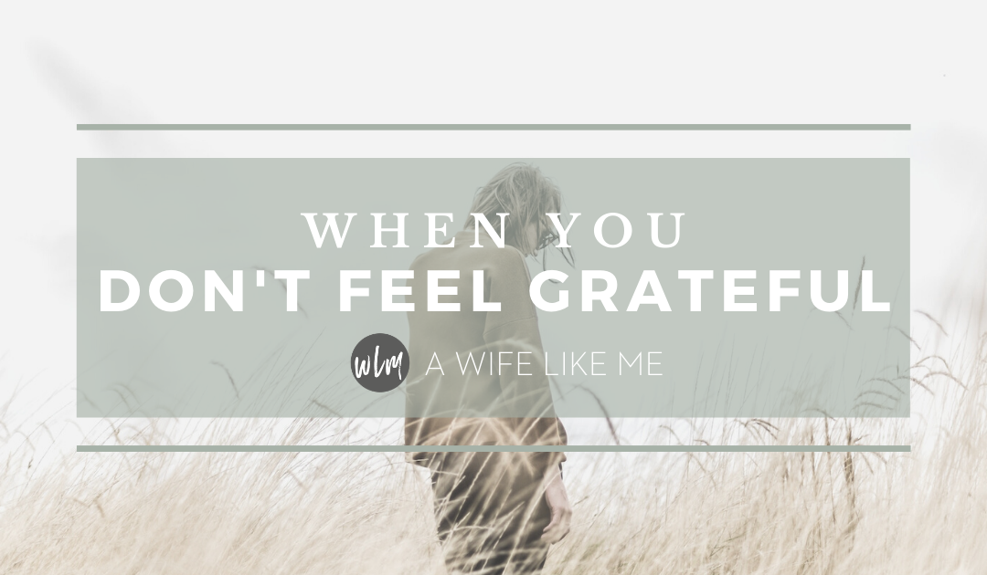 3 Tips for When You Don’t Feel Grateful - Karen Smith - A Wife Like Me