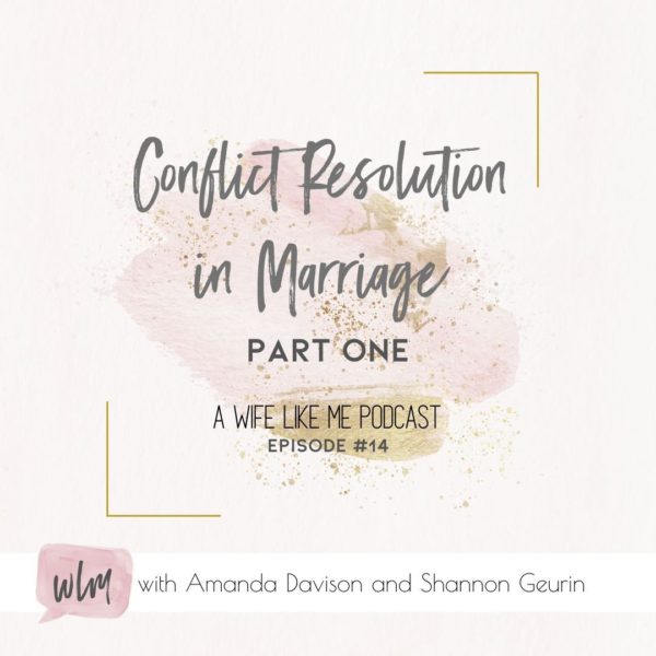 Conflict Resolution 101 Part 1 - A Wife Like Me