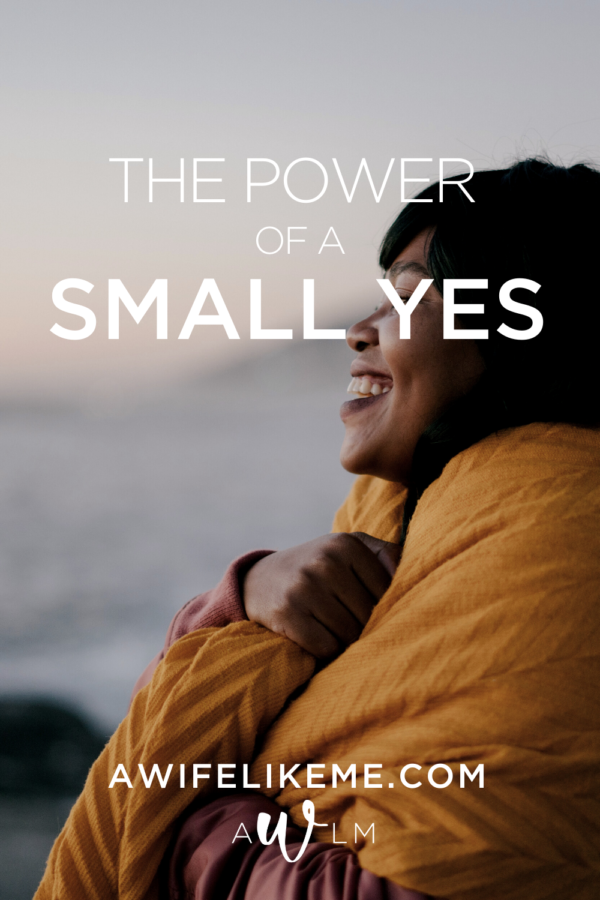 Leave a Reply Cancel reply