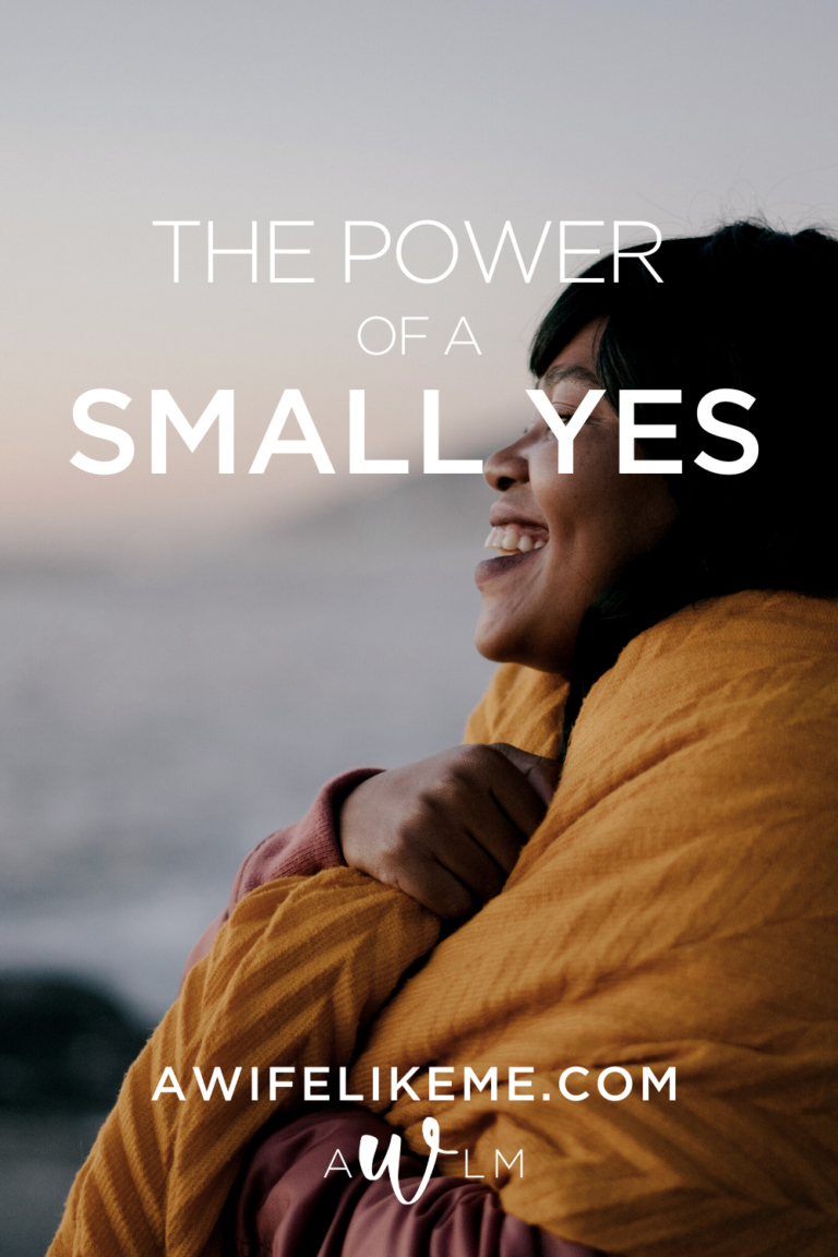 Leave a Reply Cancel reply