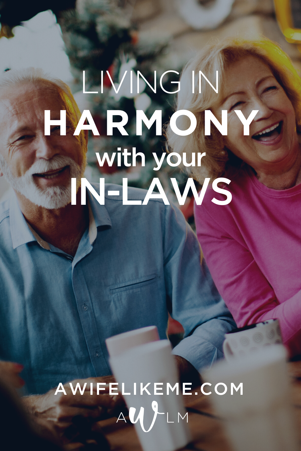 Living in Harmony with Your In-Laws - A Wife Like Me