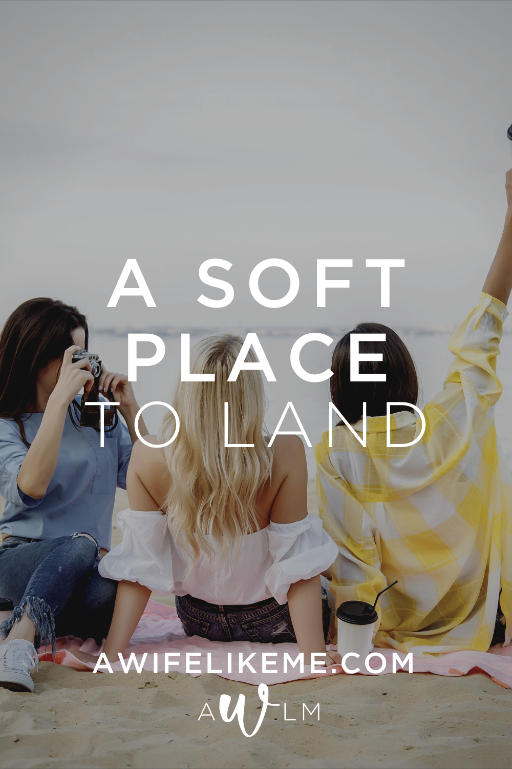 A Soft Place to Land - A Wife Like Me